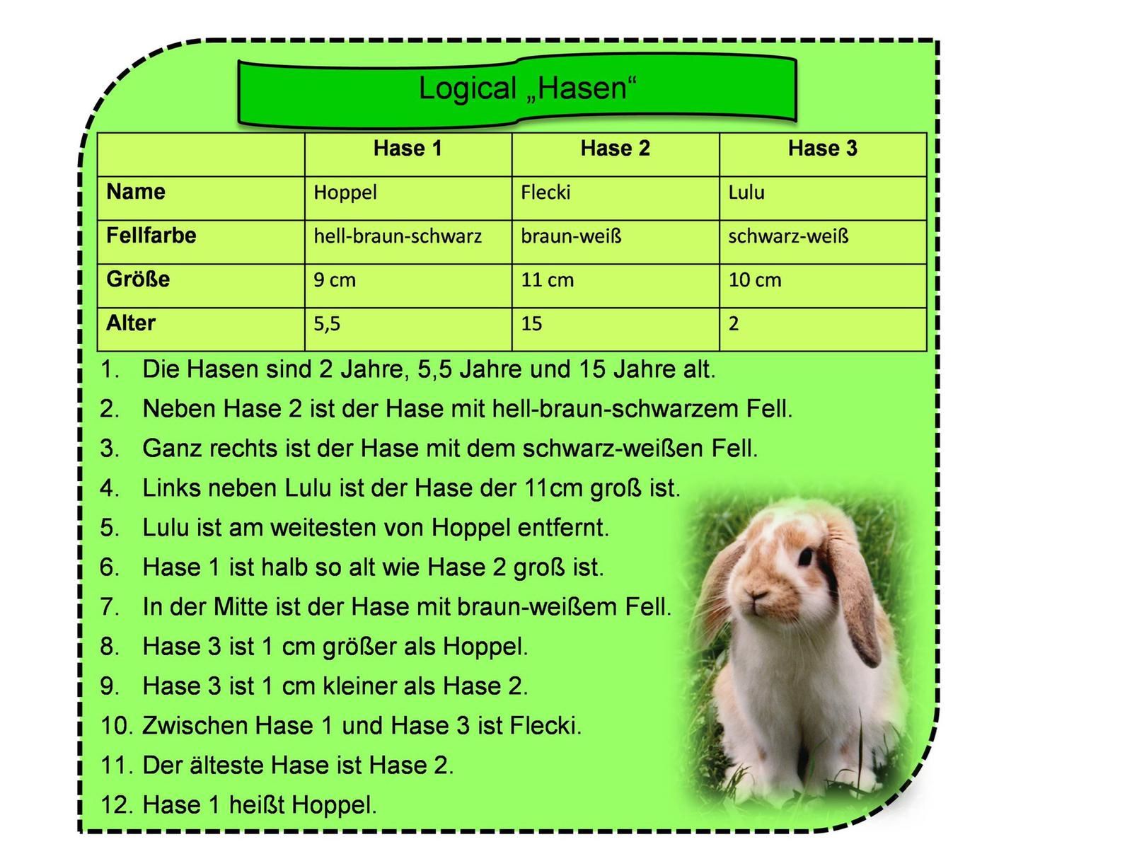 Rätsel & Knobelaufgaben